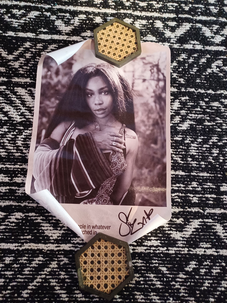 Sza mini canvas poster – Kargo Fresh