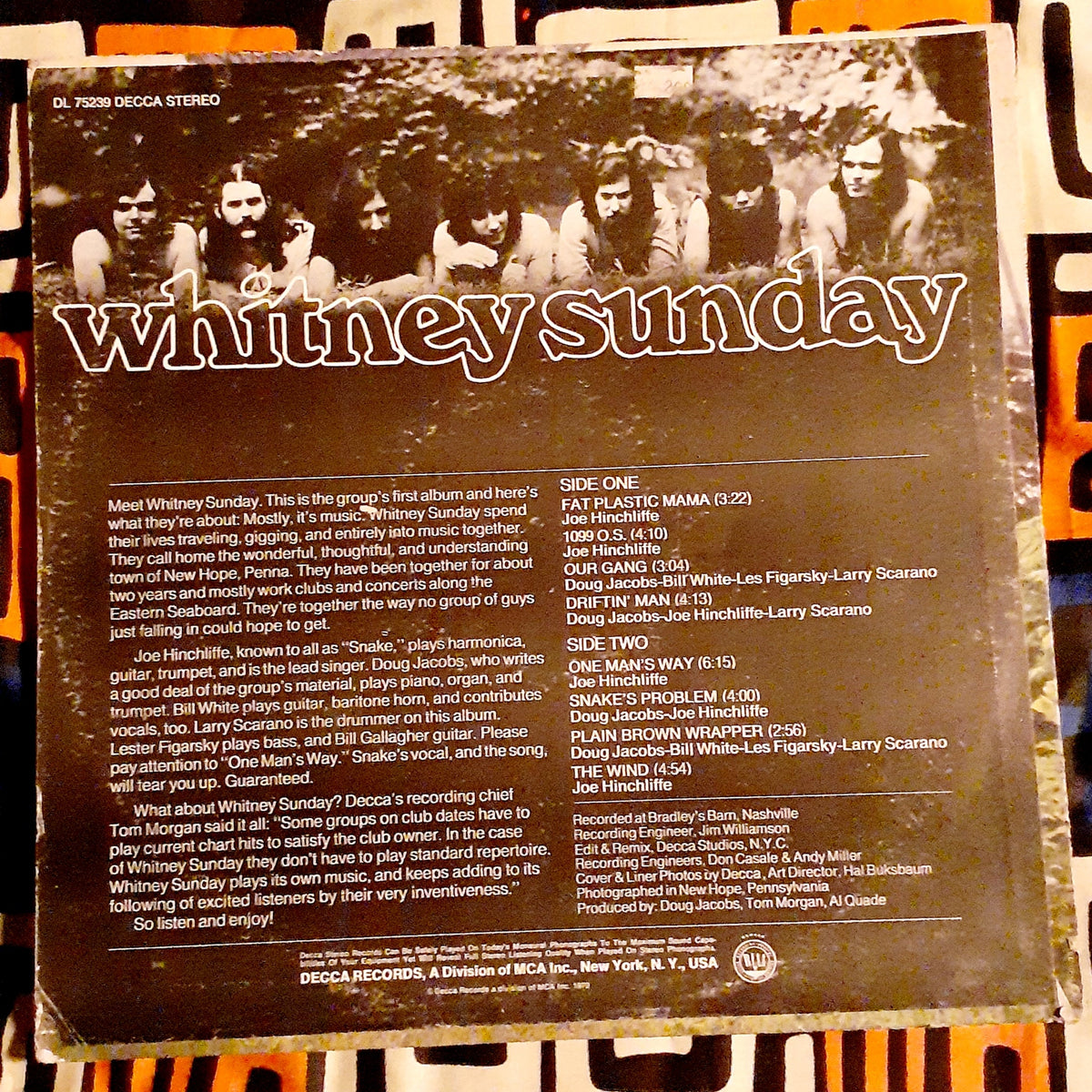 Whitney Sunday - Whitney Sunday 33 RPM Lp – Kargo Fresh